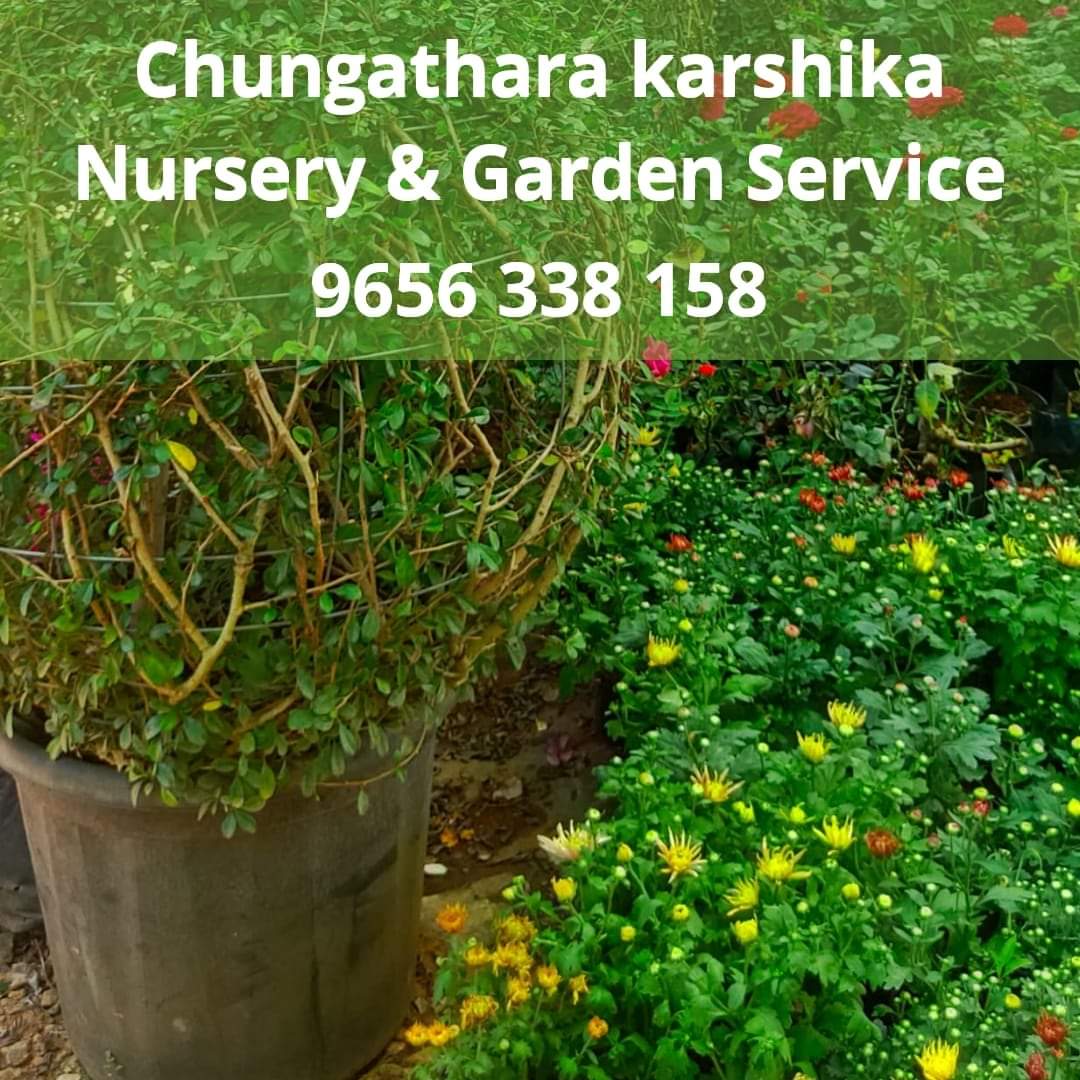 CHUNGATHARA KARSHIKA NURSERY & GARDEN SERVICE - CHUNGATHARA